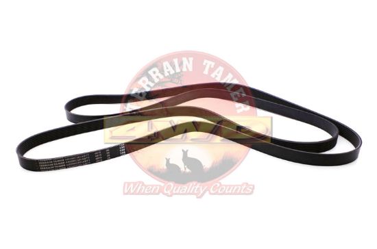 Fan Belt Kit To Suit Ford Ranger PX P4AT 2.2L 11/2011- – Ramped up 4x4